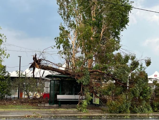 What is a Microburst and why are they so dangerous?